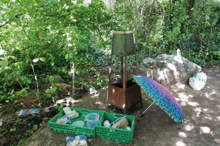 'Drug hangout' claims fail to halt council's butterfly forest expansion ...
