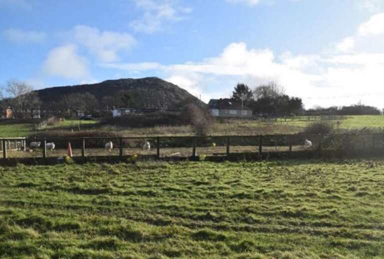 Plans revived for affordable housing development on farmland