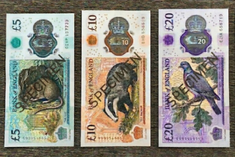 RSPCA says ‘undervalued’ wildlife missing from celebratory banknote ...